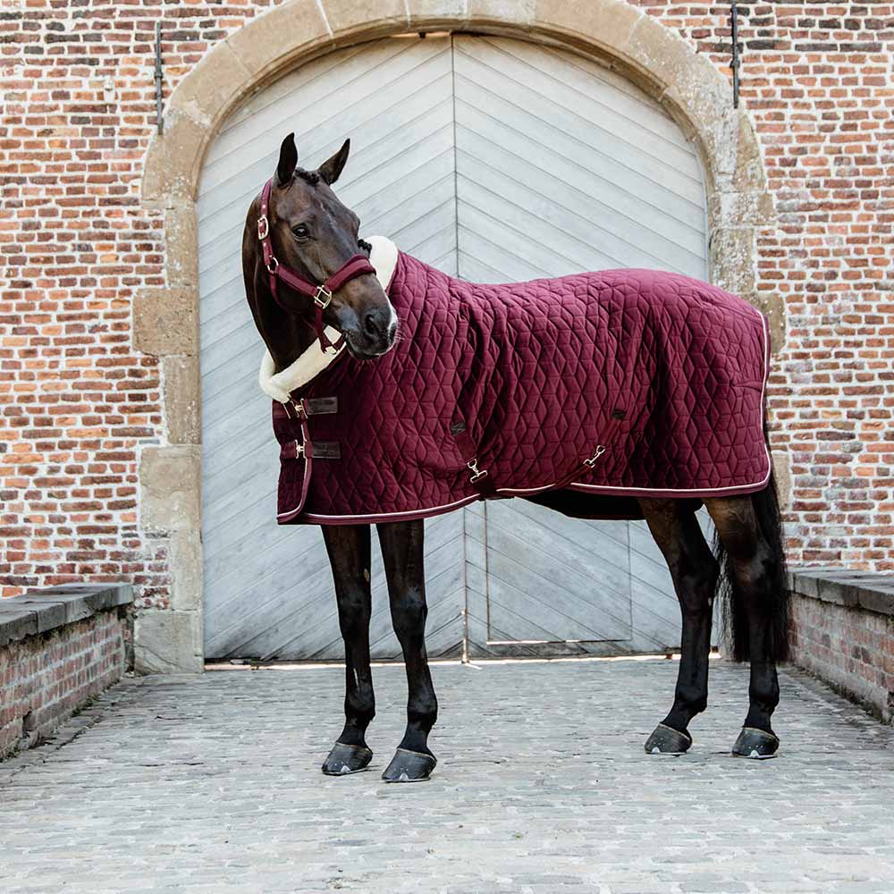 Kentucky Horsewear Bordeaux Velvet Show Rug | Imperial Equestrian